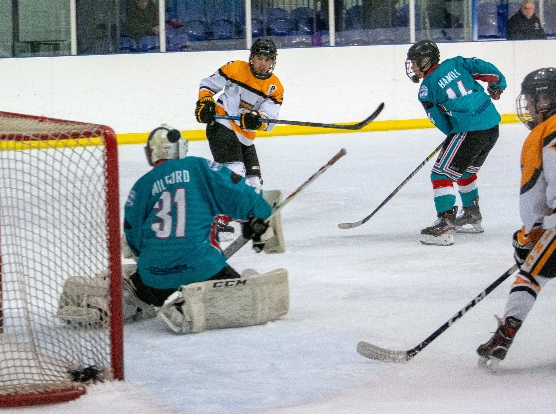 Predators' cup hopes ended as impressive Giants roar into the final ...